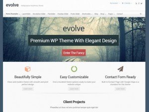 20+ Best Responsive & Free Parallax Scrolling WordPress Themes
